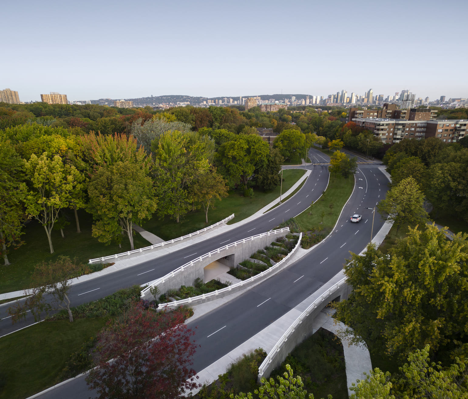 For World Engineering Day, these six bridges stand as examples of the ...