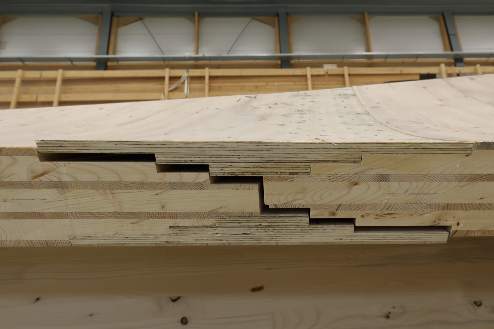 Innovative mass timber Wangen Tower opens in southern Germany | Gallery ...