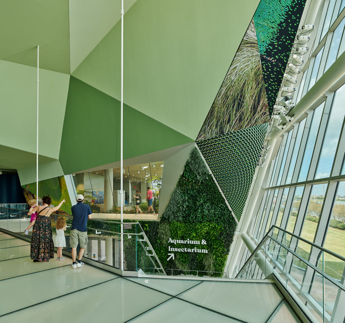 Audubon Nature Institute Aquarium & Insectarium | EskewDumezRipple ...