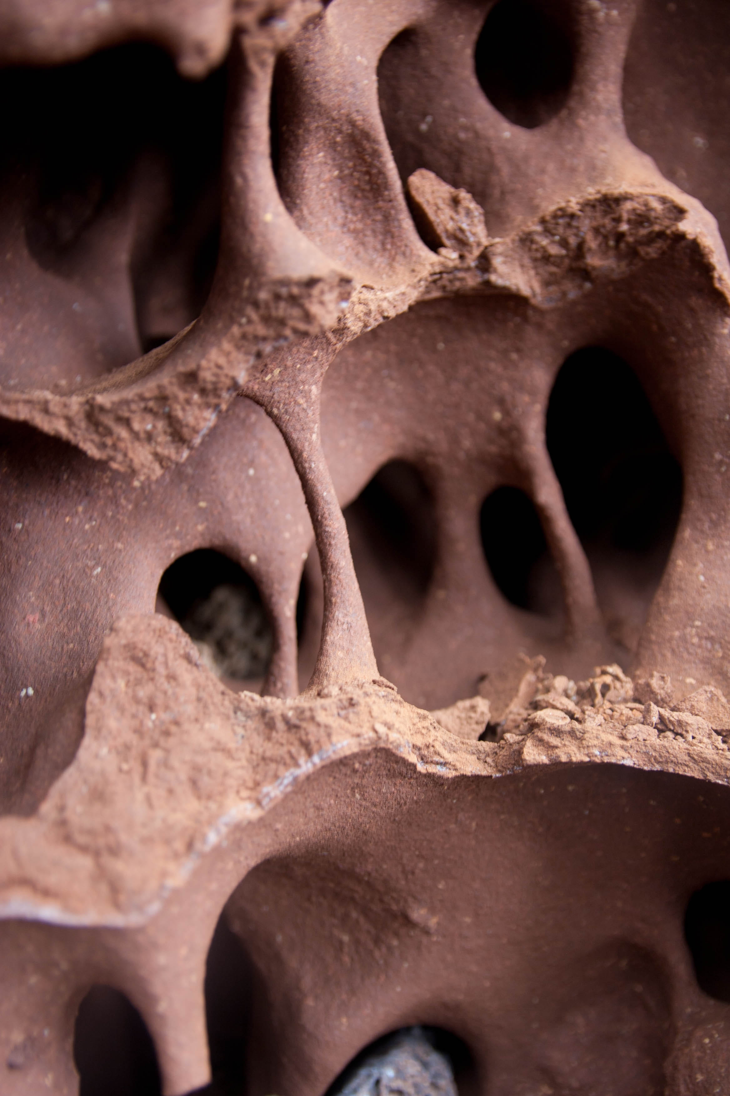 Termite mounds hold secrets for energy-efficient buildings, researchers ...