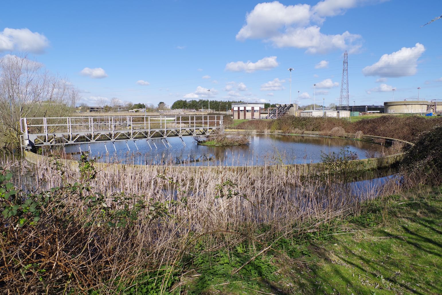 LOLA Landscape Architects tapped as designers for mixed-use Hartree ...