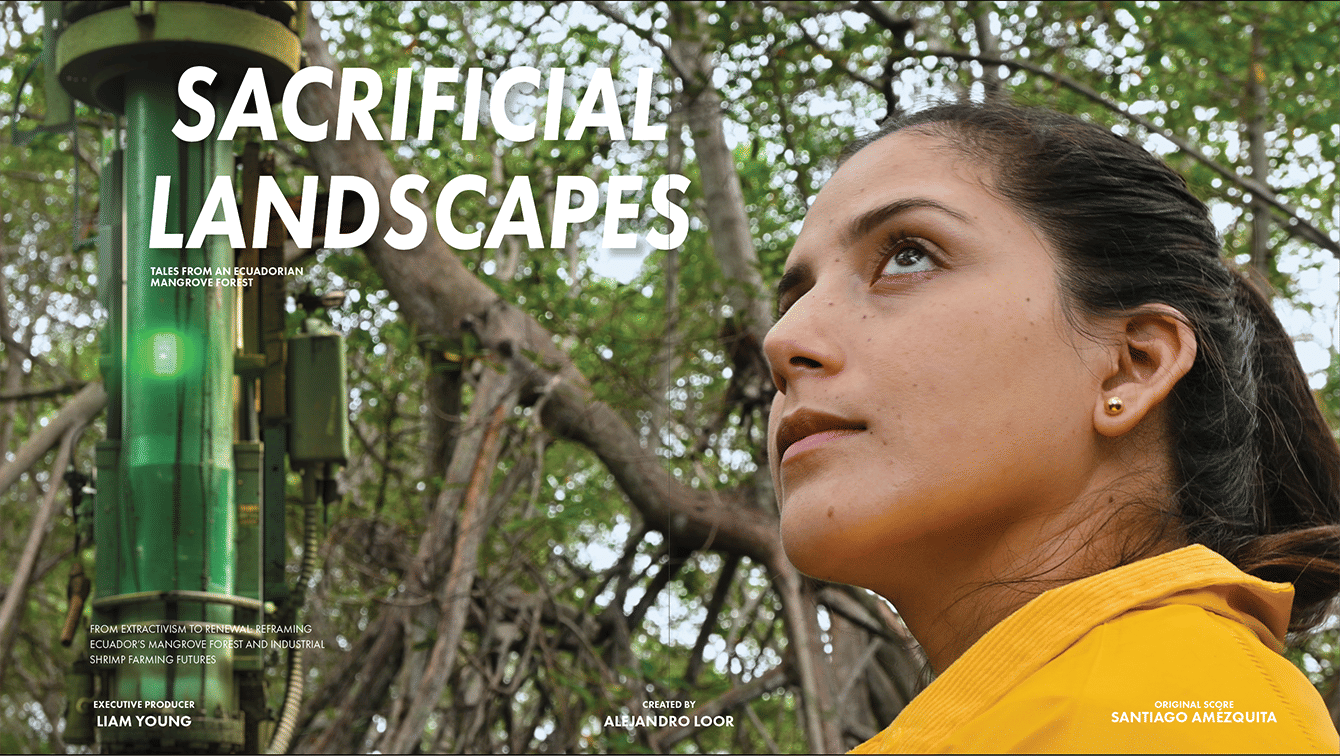 Sacrificial Landscapes; Tales from an Ecuadorian Mangroves Forest ...