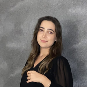 Yasaman Amirzehni | Archinect