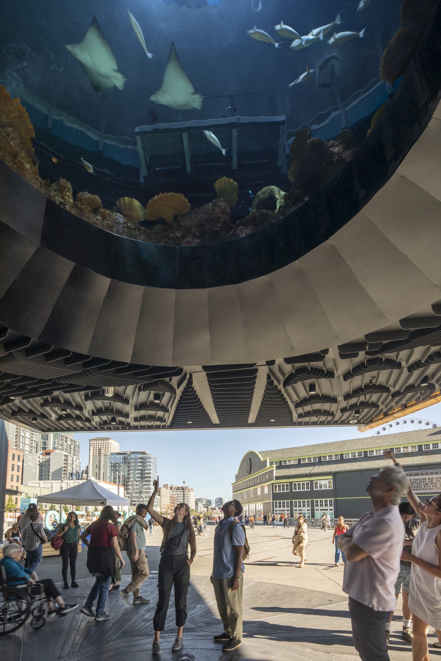 Field Operations completes major elevated walkway on Seattle waterfront ...