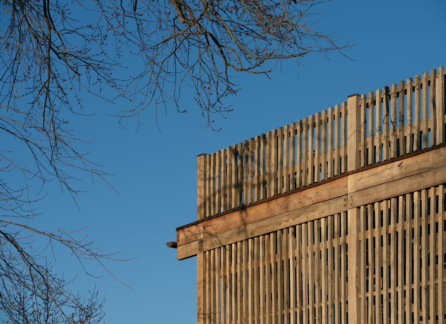 Brown House | BLDUS | Archinect