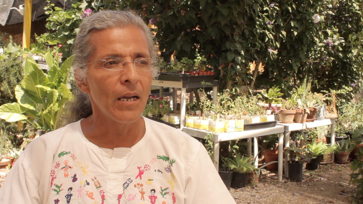 Documentary Film Broad Minded City | Quasimotor Productions | Archinect