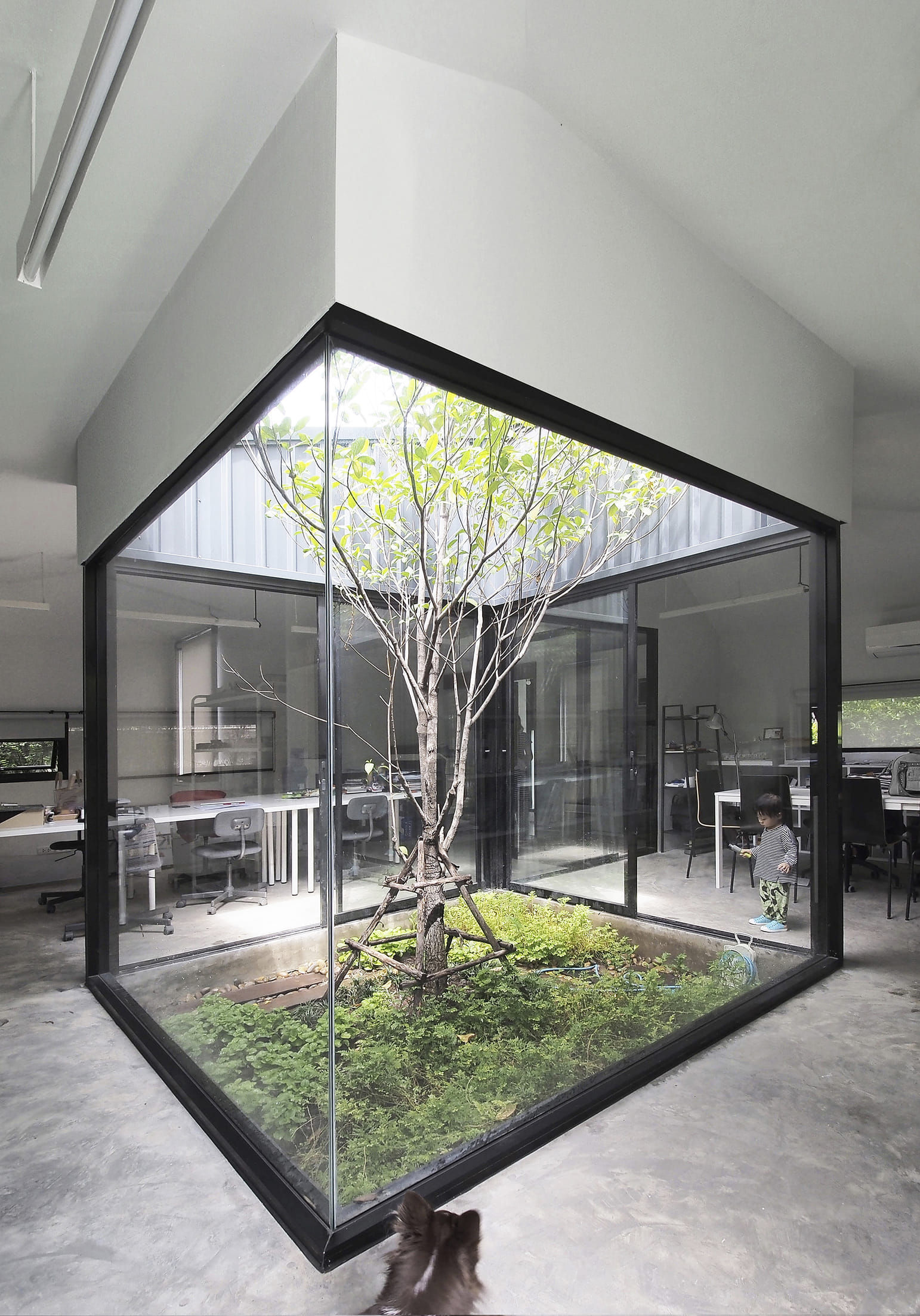 10 fresh examples of glass in architecture | News | Archinect