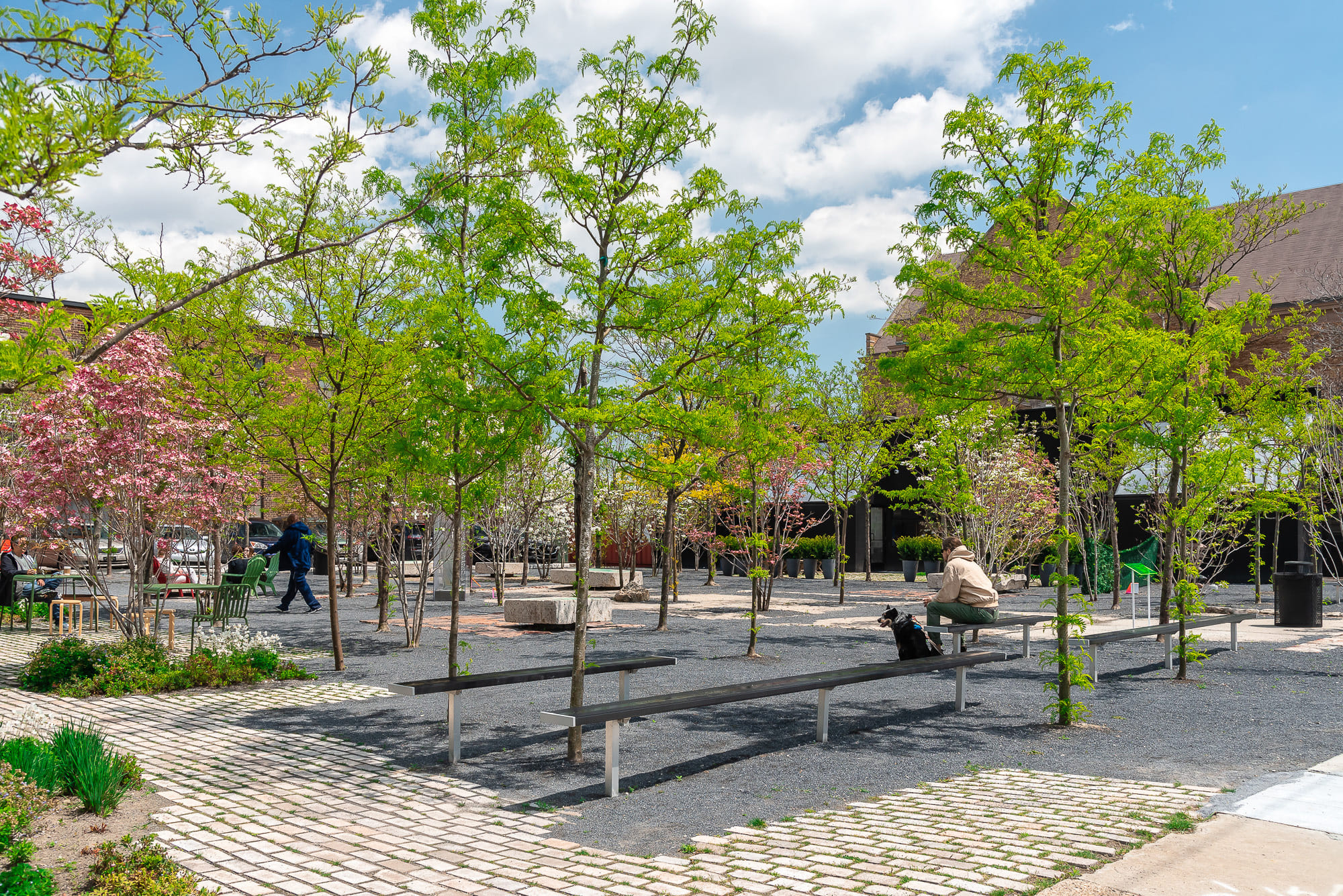 Oberlander Prize winner Julie Bargmann's work and life featured in ...