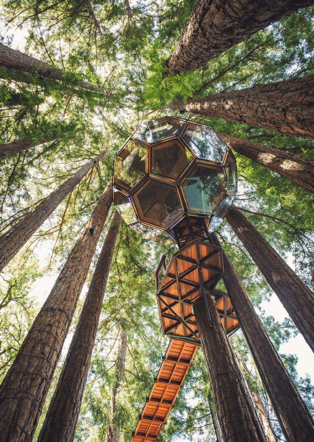 In California’s forests, a ‘whimsical’ treehouse rises inspired by ...