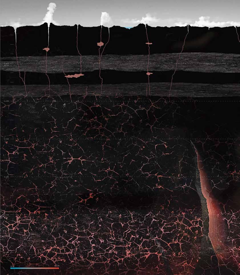 The Conflict Between Nature and Architecture: an Interview with Diana ...