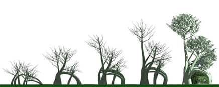 The Dignity of Plants | Features | Archinect