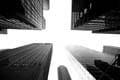 New York, XL | News | Archinect