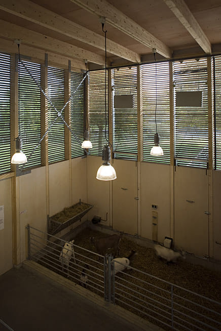ShowCase: Petting Farm | Features | Archinect