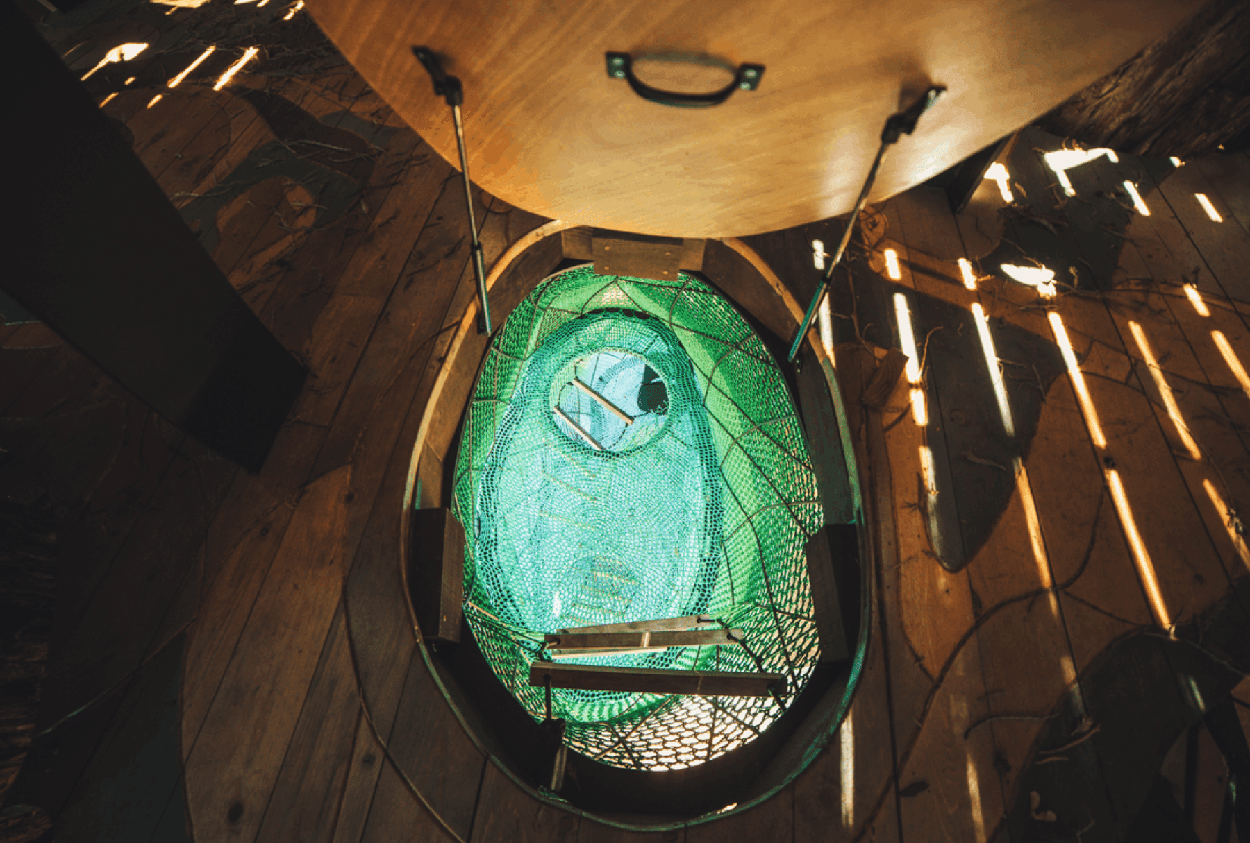 In California’s forests, a ‘whimsical’ treehouse rises inspired by ...