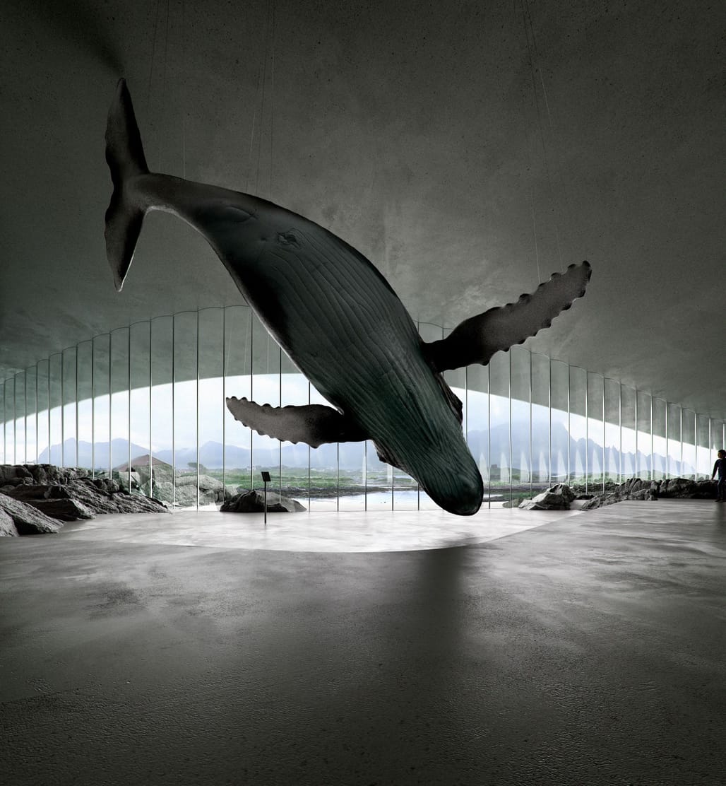 Dorte Mandrup's winning museum design is a stunning cultural landmark ...