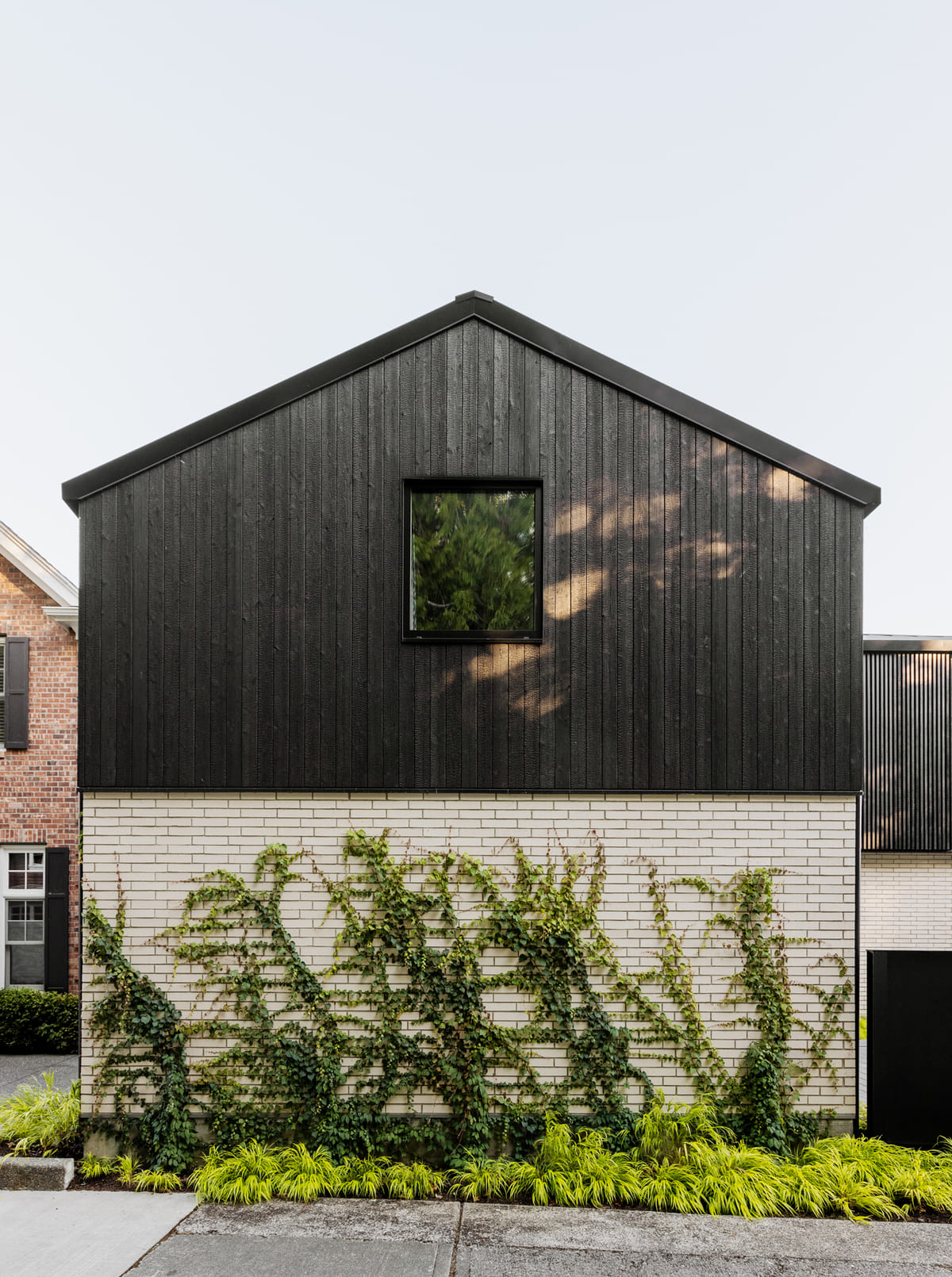 Black Pine House and Cabin | SHED Architecture & Design | Archinect