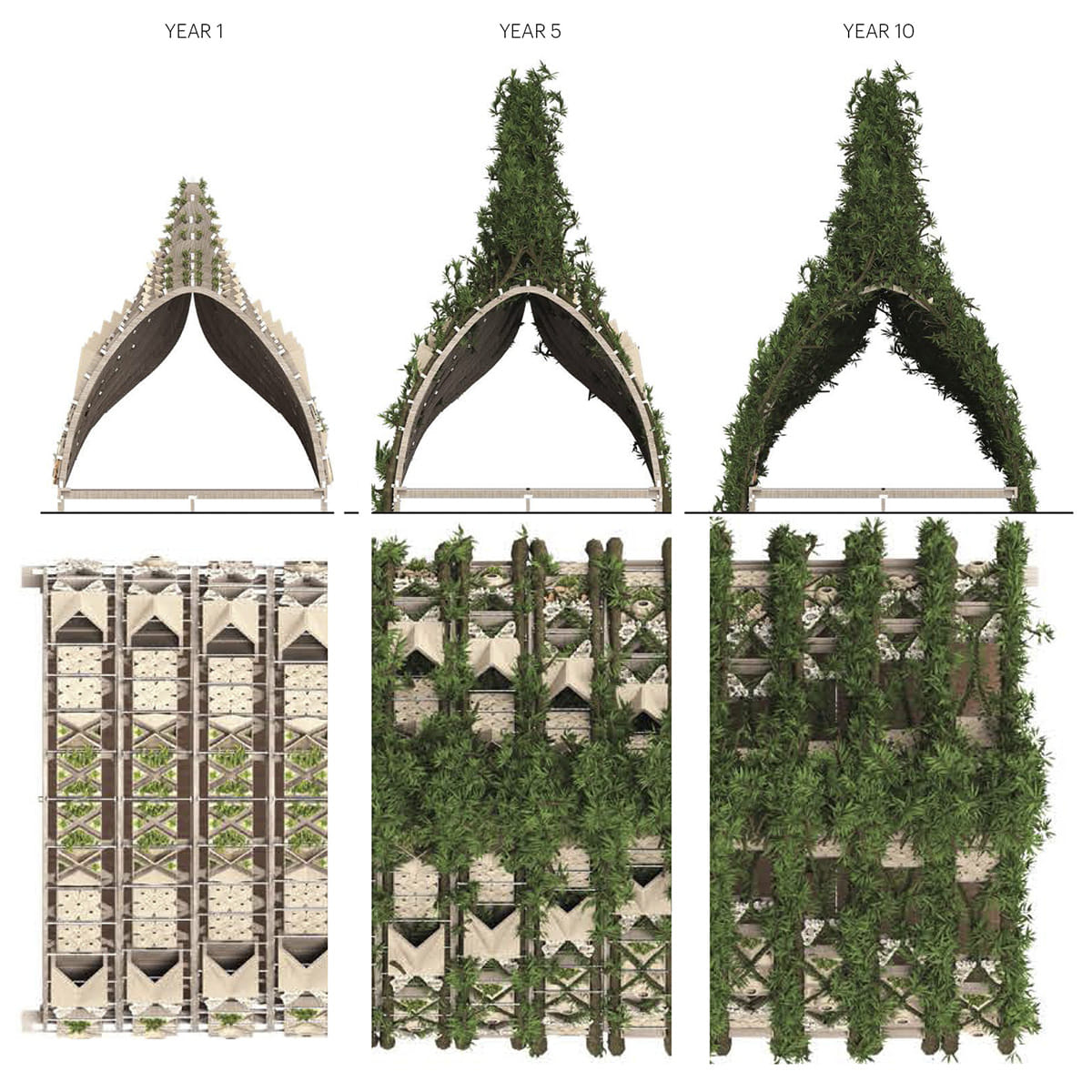 Fab Tree Hab: Multi-Species Living Structure | Terreform ONE | Archinect
