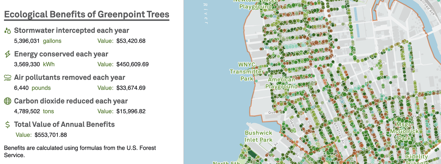 New York City’s interactive Tree Map offers live insights into over ...