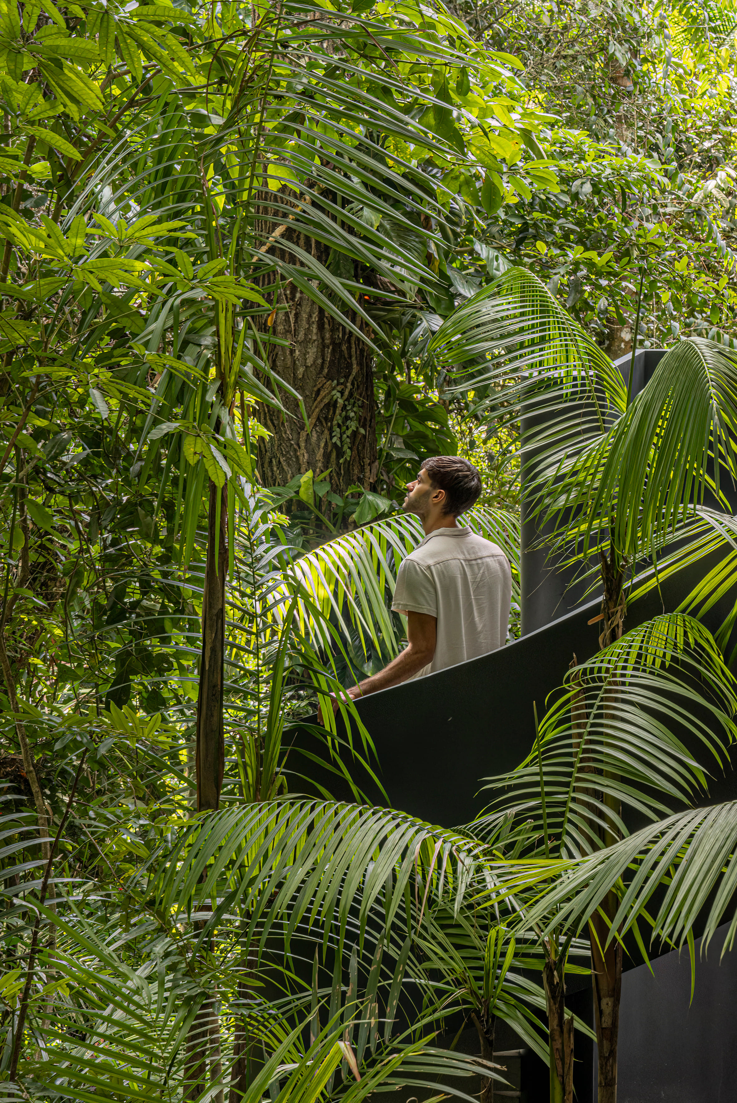 Studio MK27's Brazilian Canopy House is full of surprising nature ...