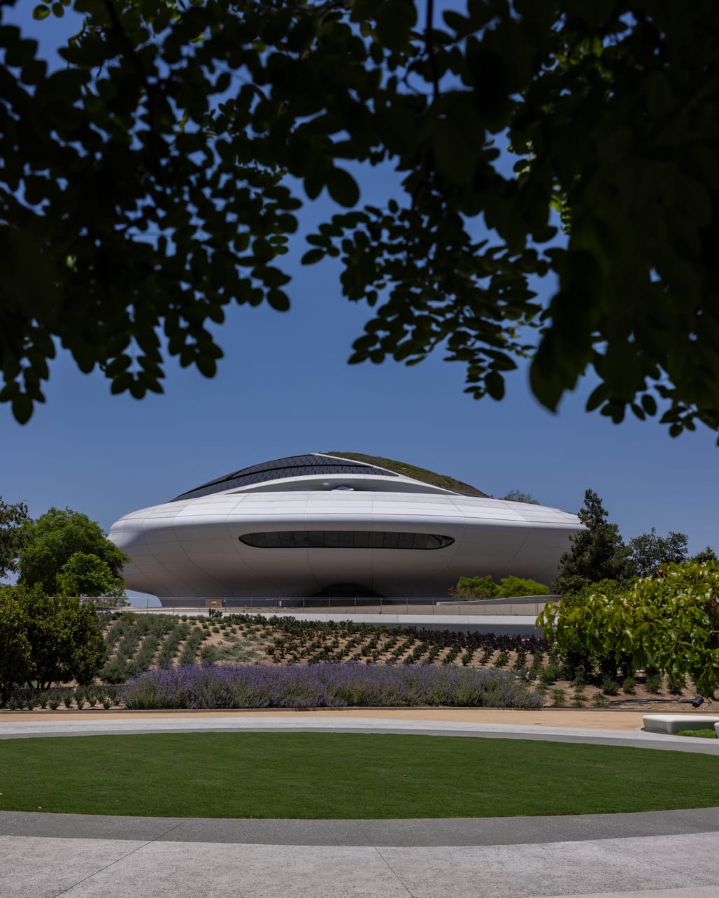 New construction photos reveal MAD's near-complete Lucas Museum of ...