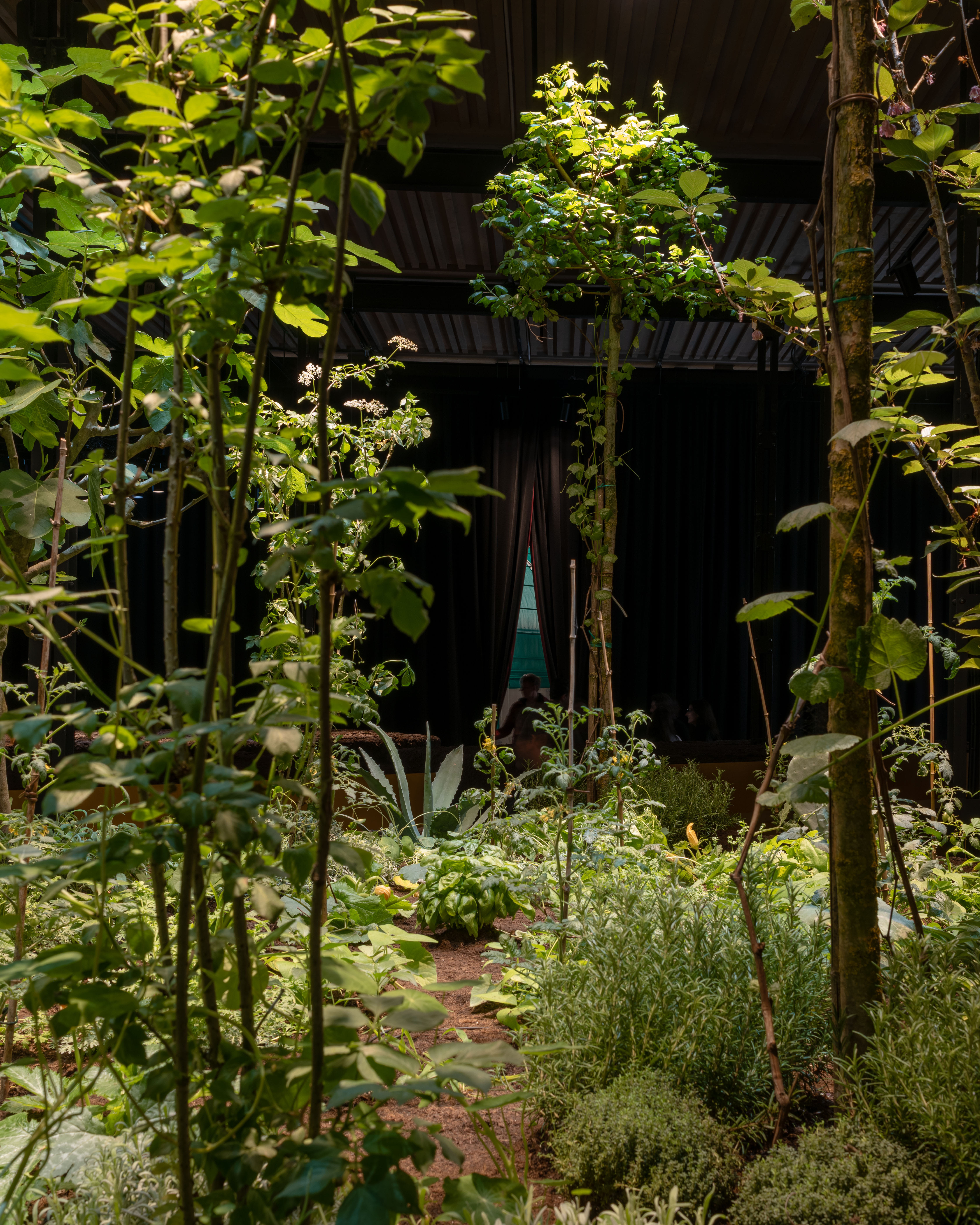 Chinampa Veneta, Pabellón de México Venice Biennale | Colectivo ...
