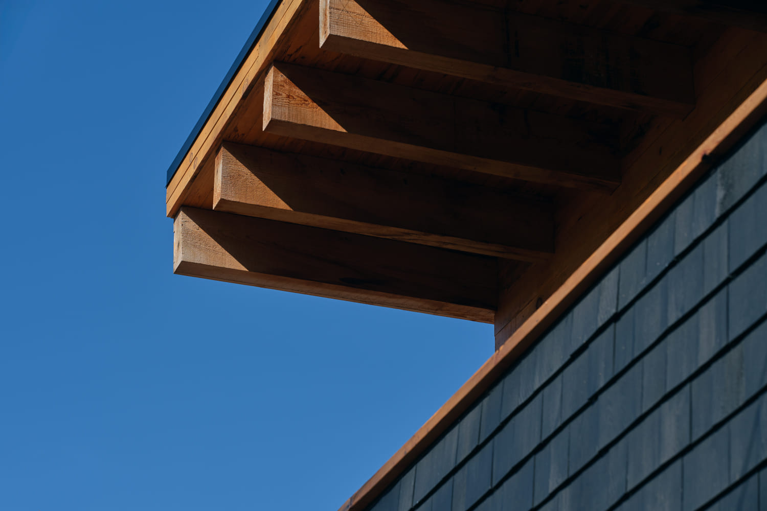 Wide House | BLDUS | Archinect