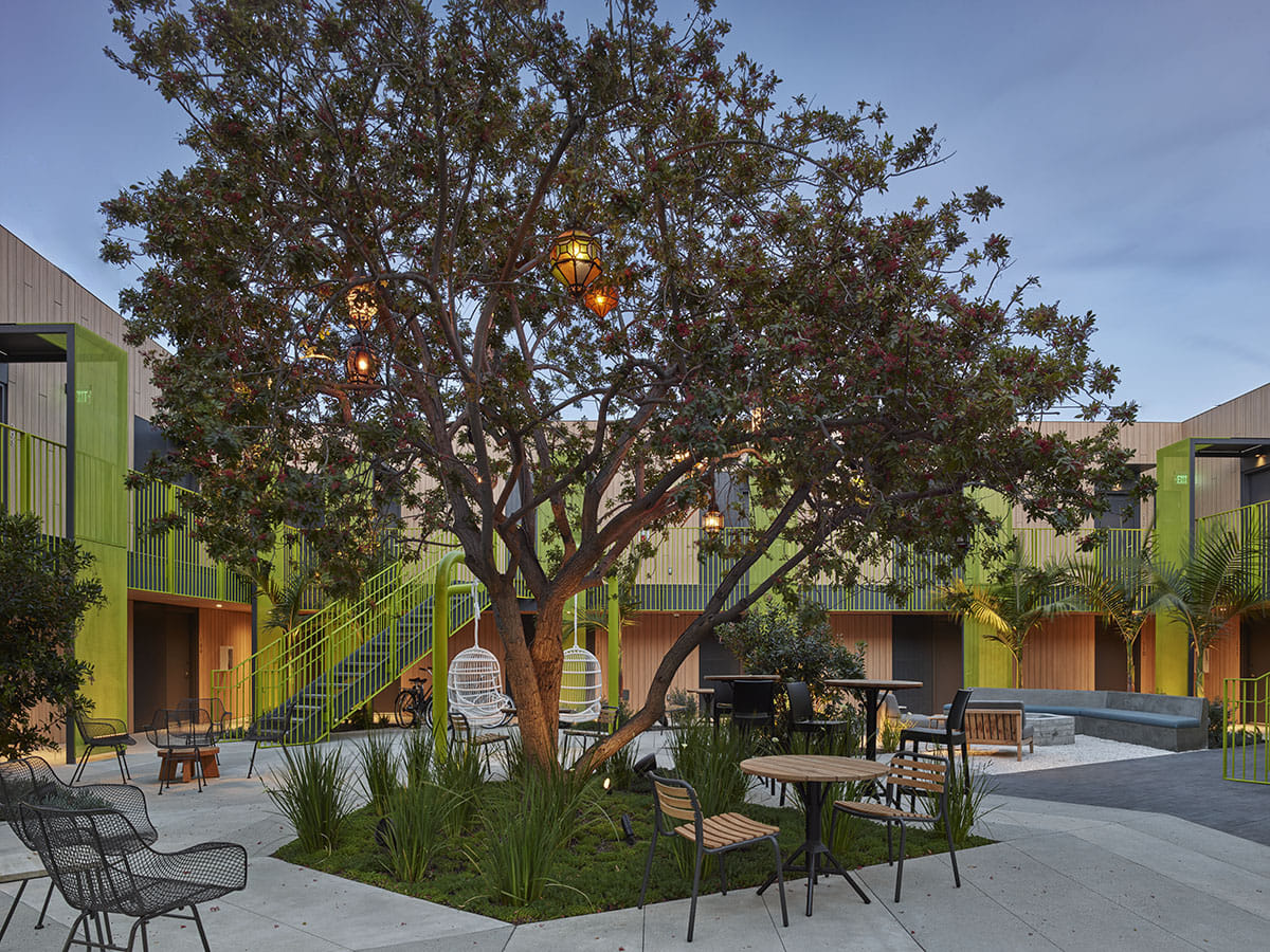 Mayumi | Donaldson + Partners | Archinect