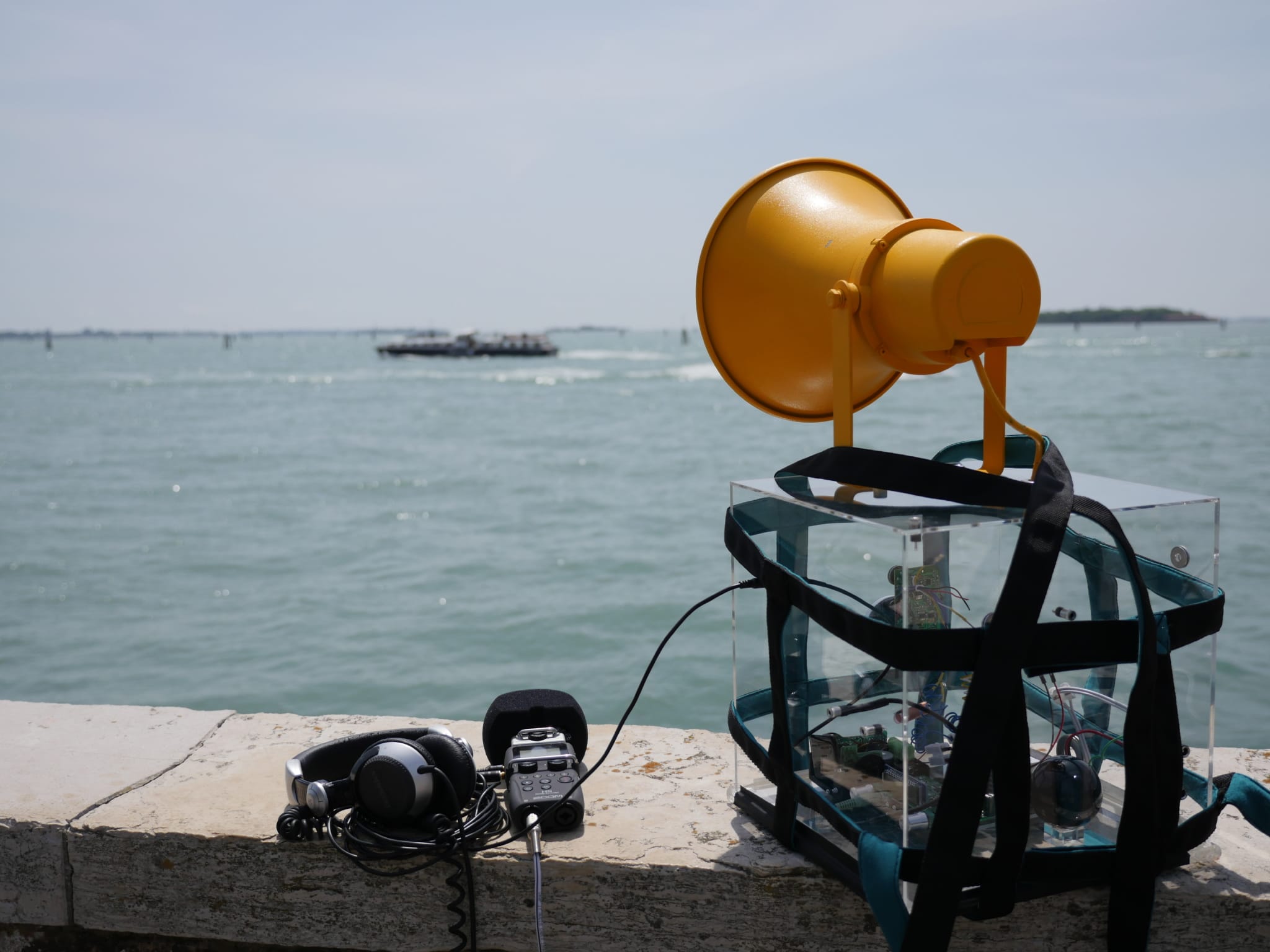 The Venice Biennale Swamp Pavilion, Part I: Swamp Radio | Features ...