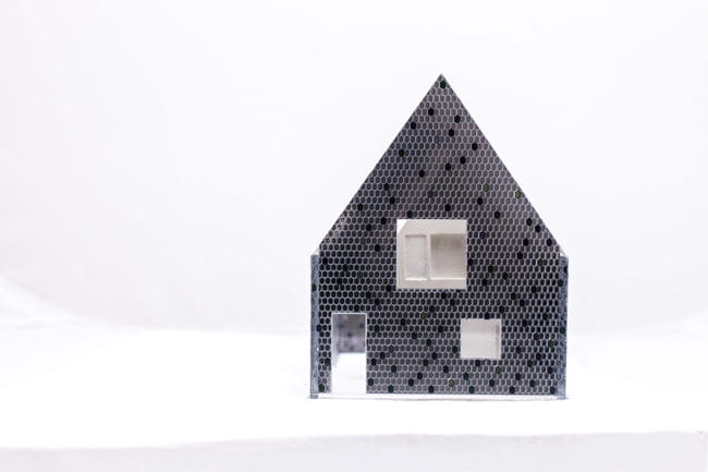 Understanding Visual Perspectives Through Risk and Research with ...