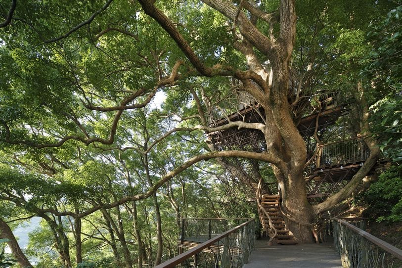 Japan's largest treehouse is also a high-tech engineering feat | News ...