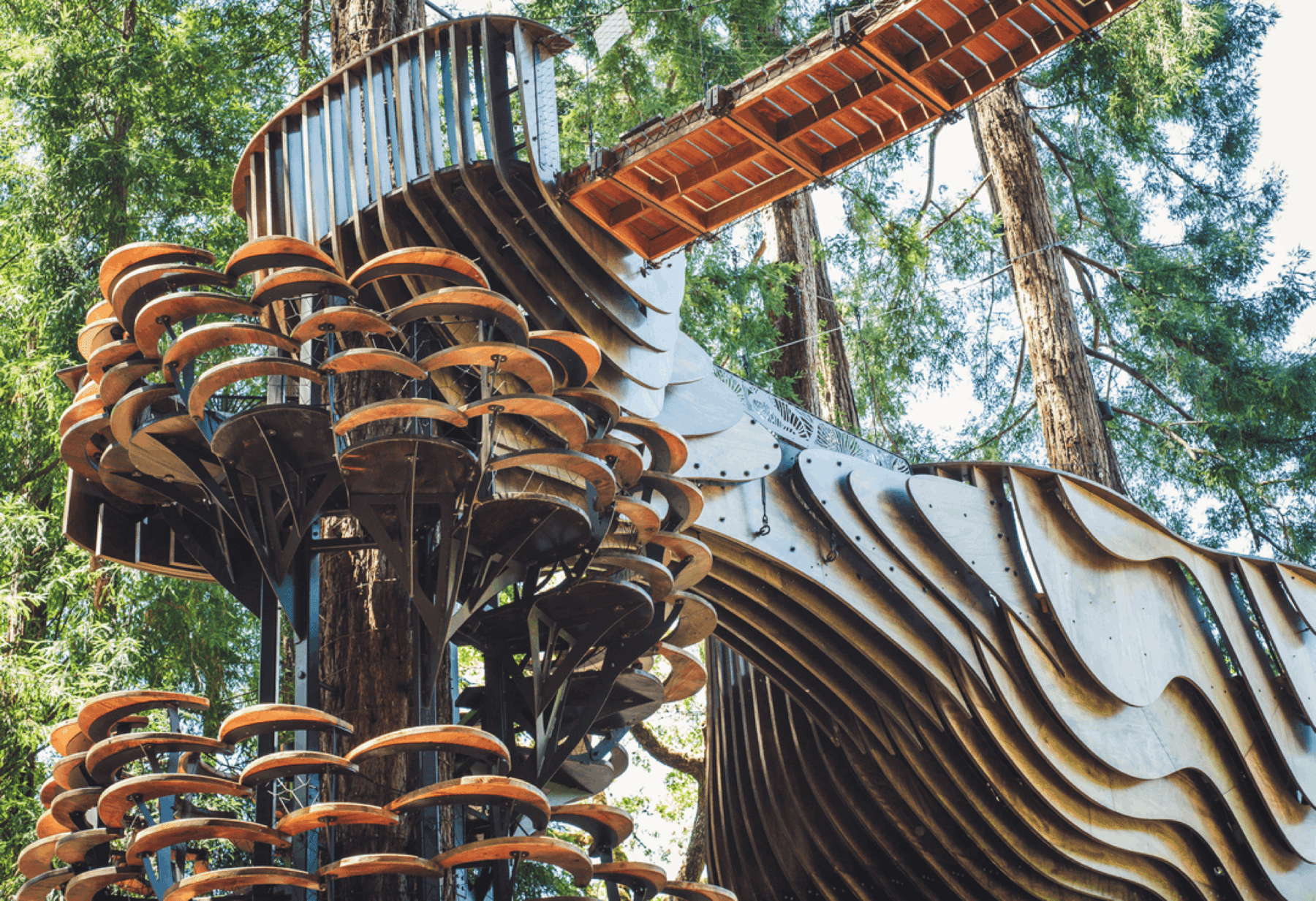 In California’s forests, a ‘whimsical’ treehouse rises inspired by ...