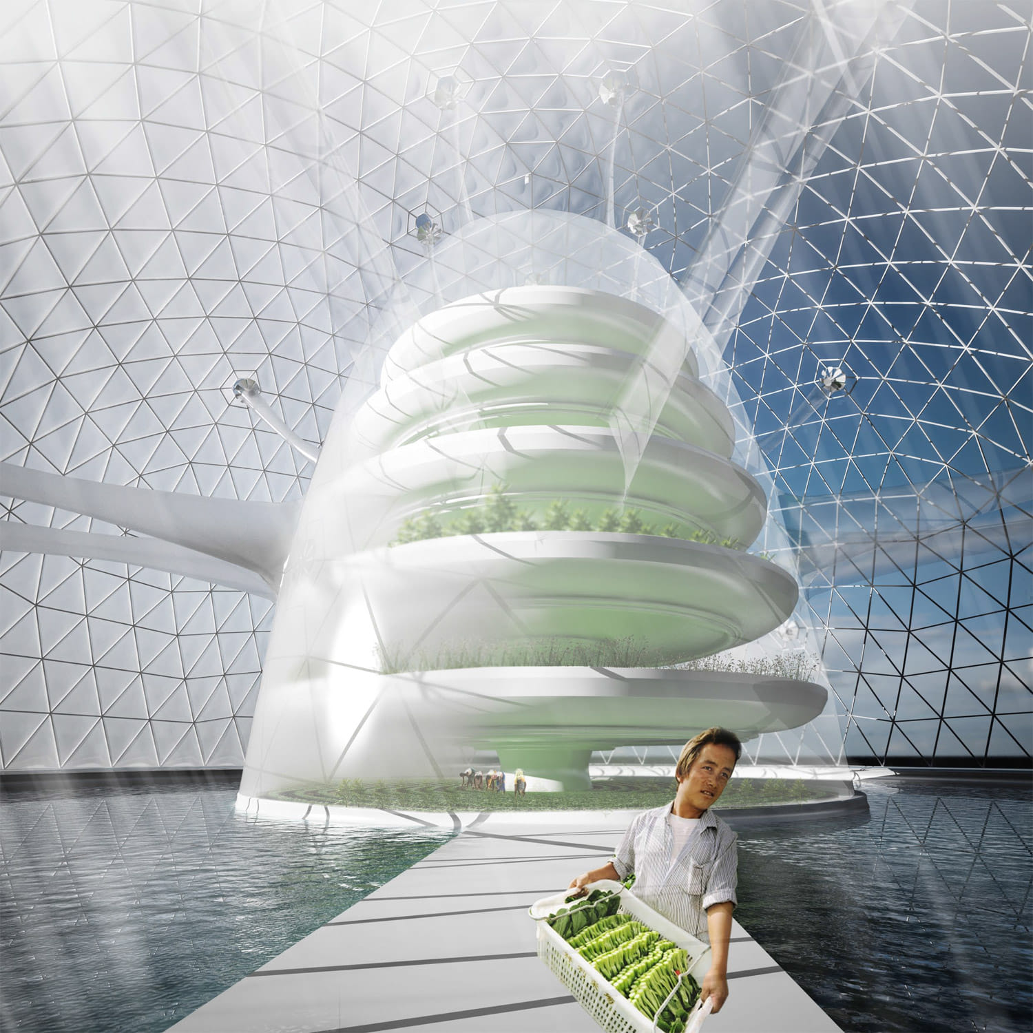 Seawater greenhouse agriculture with Ocean Distiller Farm