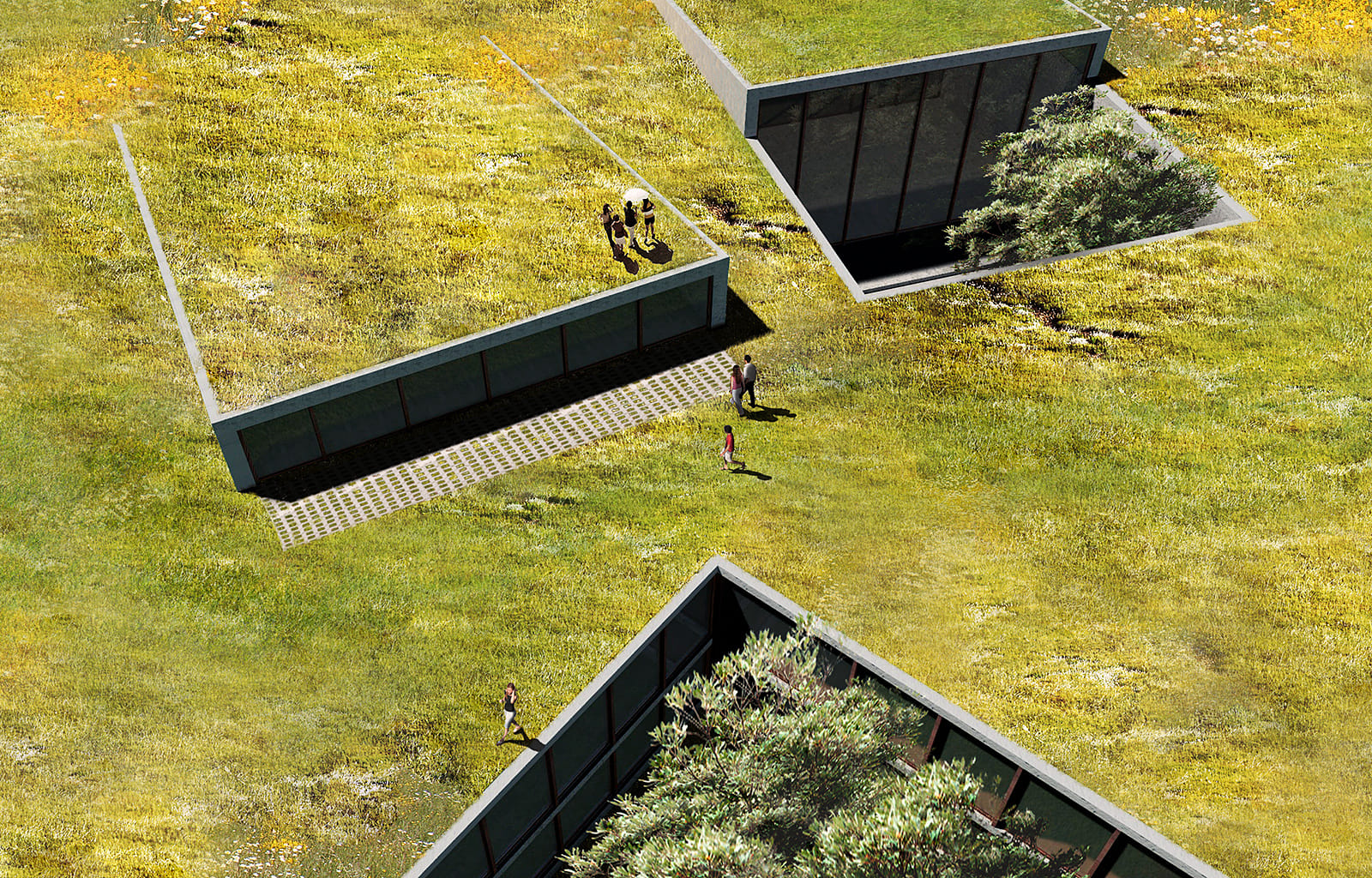 The winning ideas of the “School without Classrooms, Berlin” competition