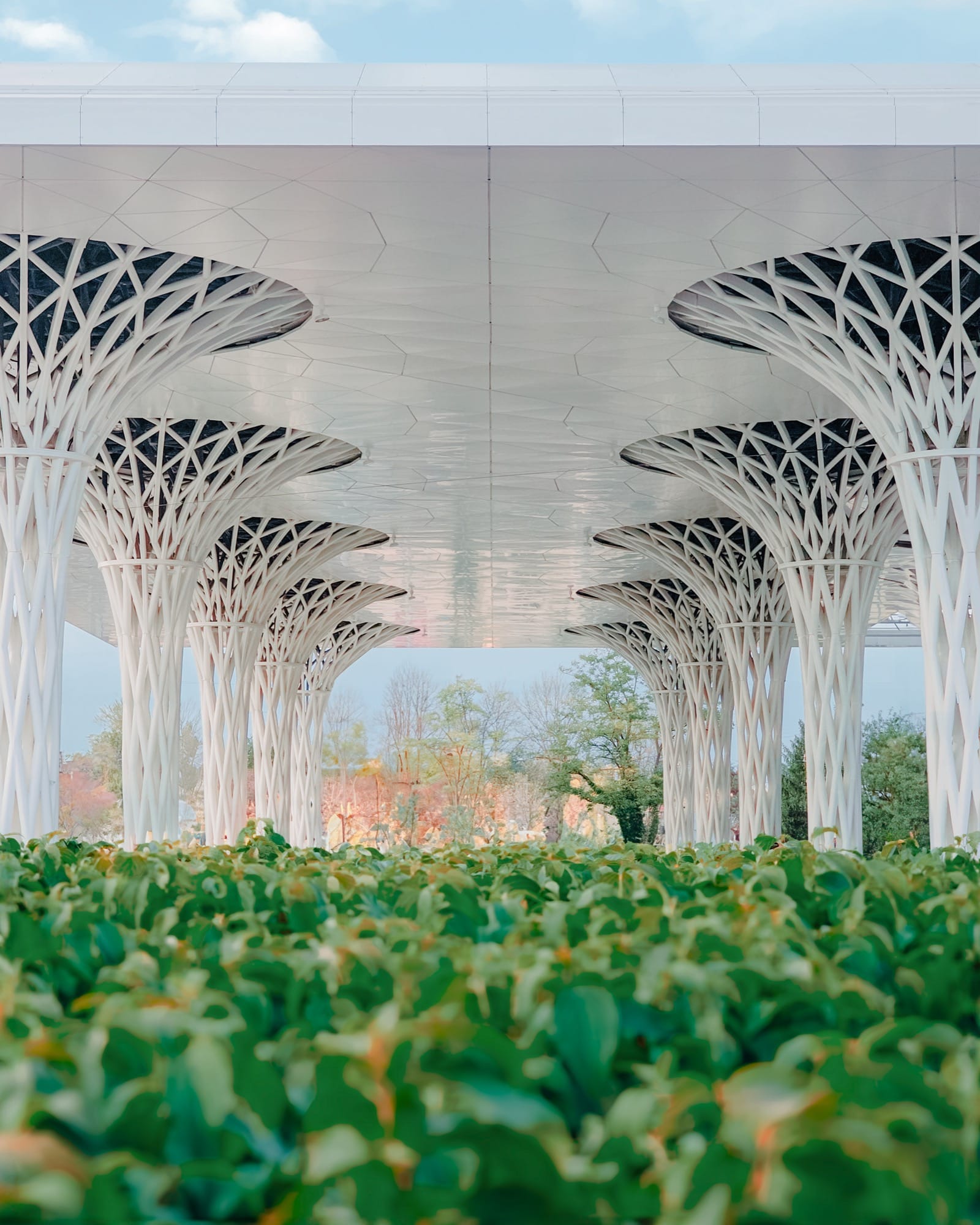 Polish transport center with tree-trunk inspired columns completed by ...