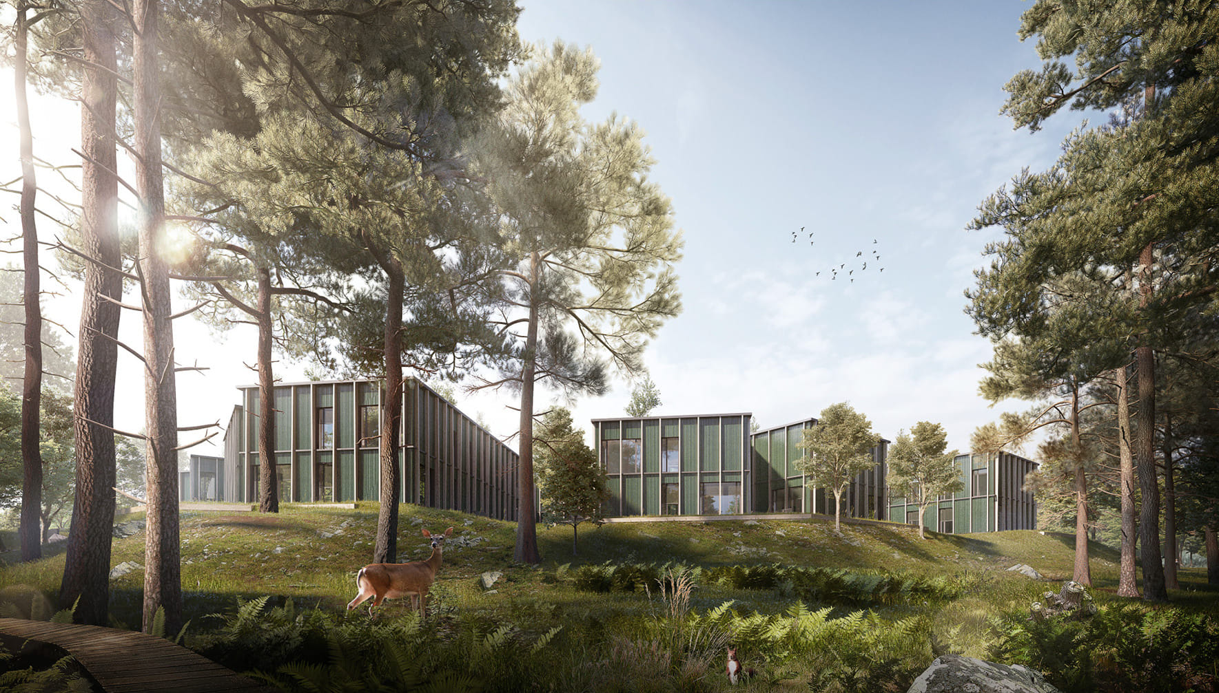 Forestry in the Forest | CHYBIK+KRISTOF ARCHITECTS & URBAN DESIGNERS ...