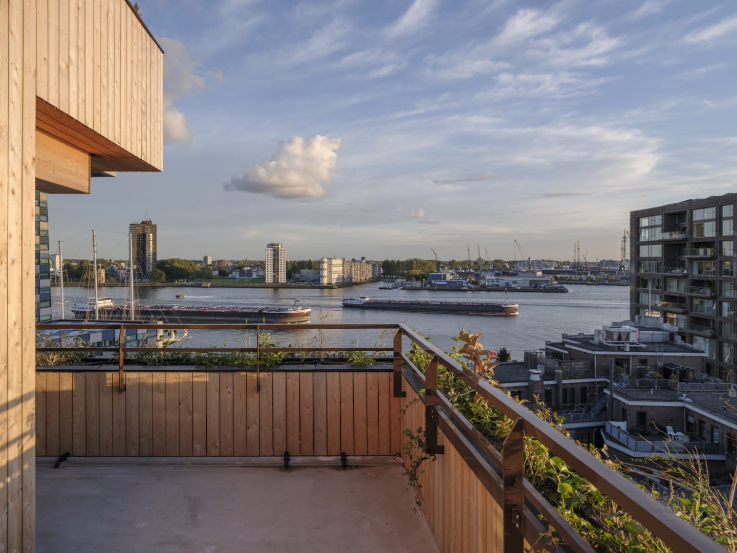 What Architects, and Everyone Else, Can Learn From Rotterdam | Features ...