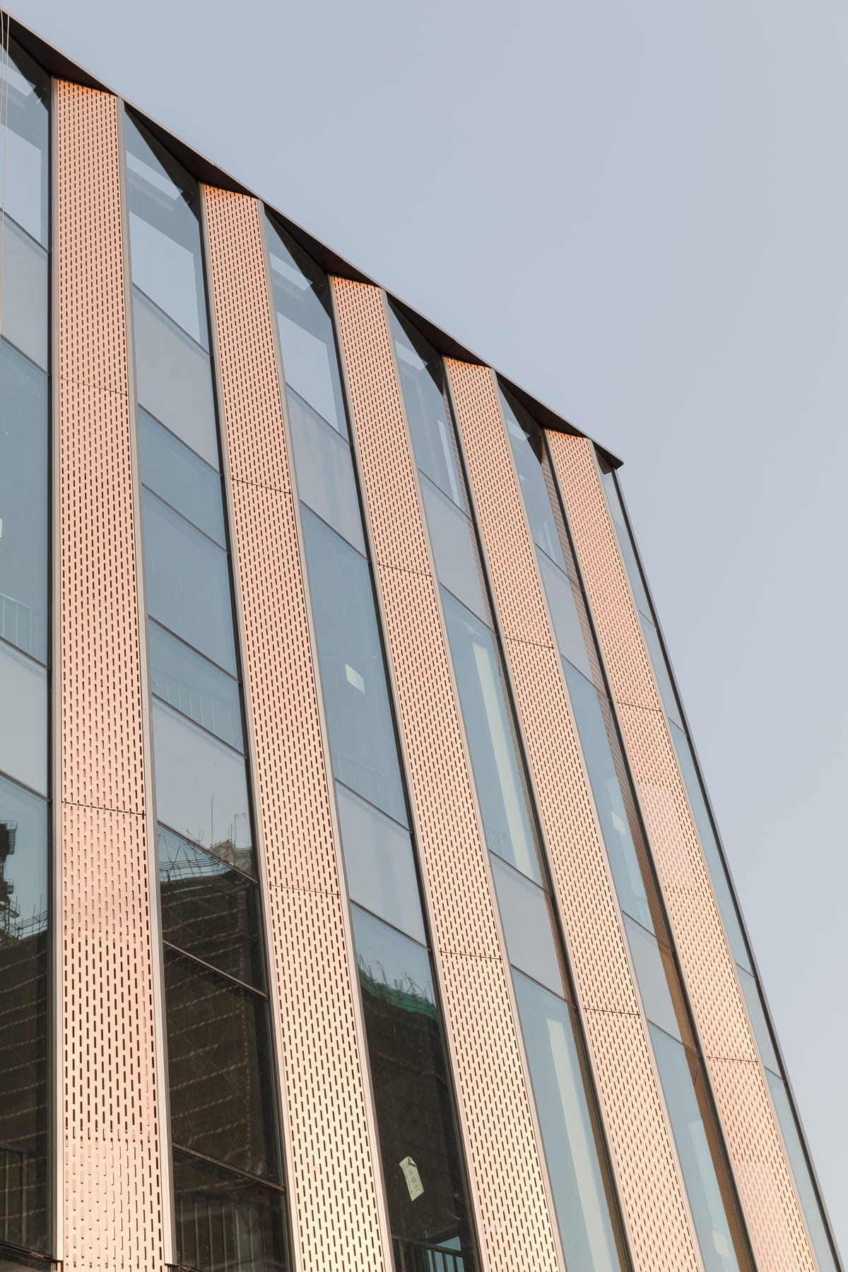 Dolphin Bay Office | Dplus Studio | Archinect