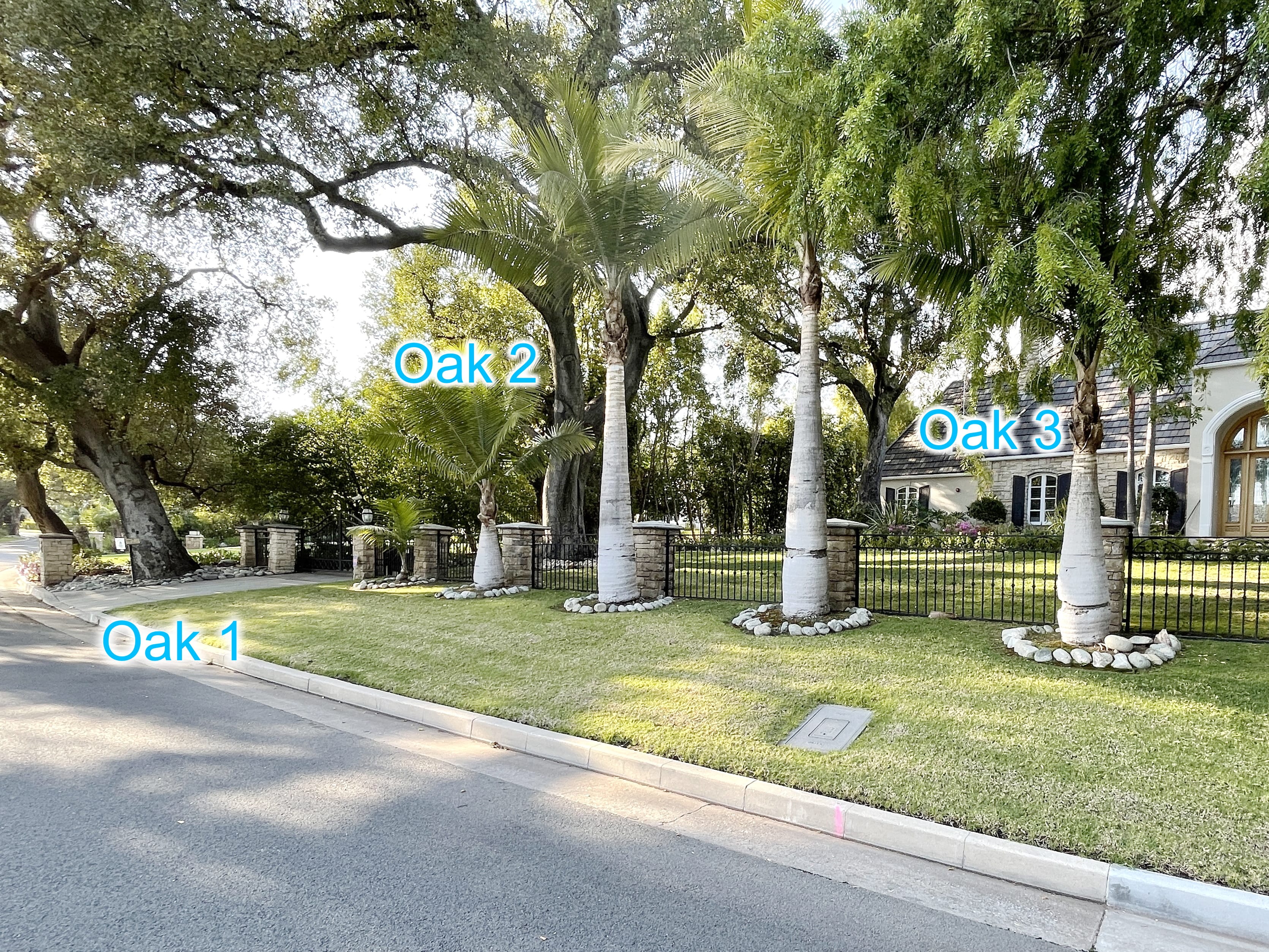 Hampton Road Residence 4. | Howard Fang | Archinect