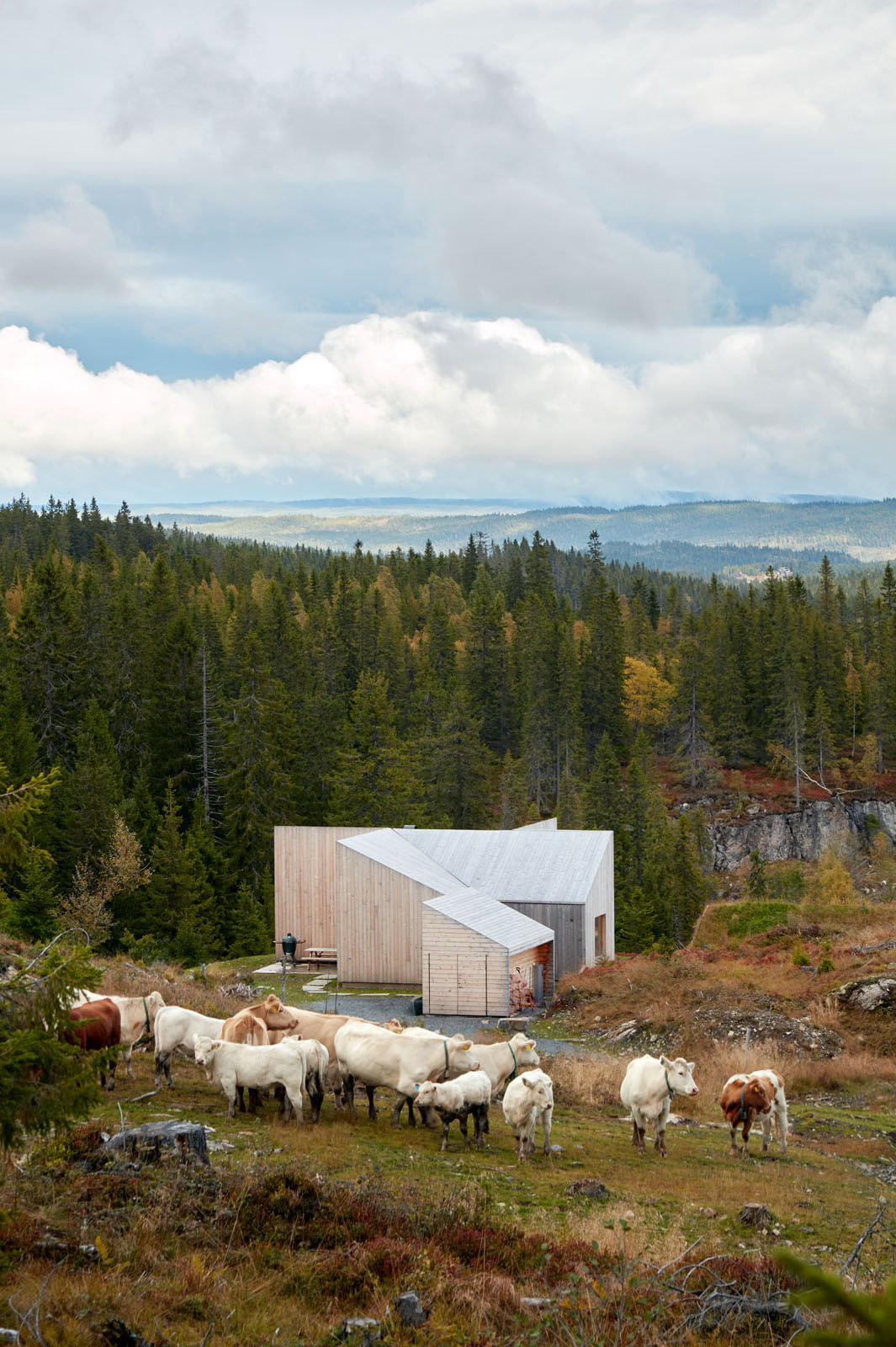 Mork-Ulnes Architects on Balancing Californian and Norwegian Design ...