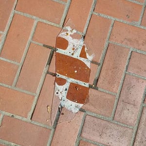 Shane Reiner-Roth | Archinect