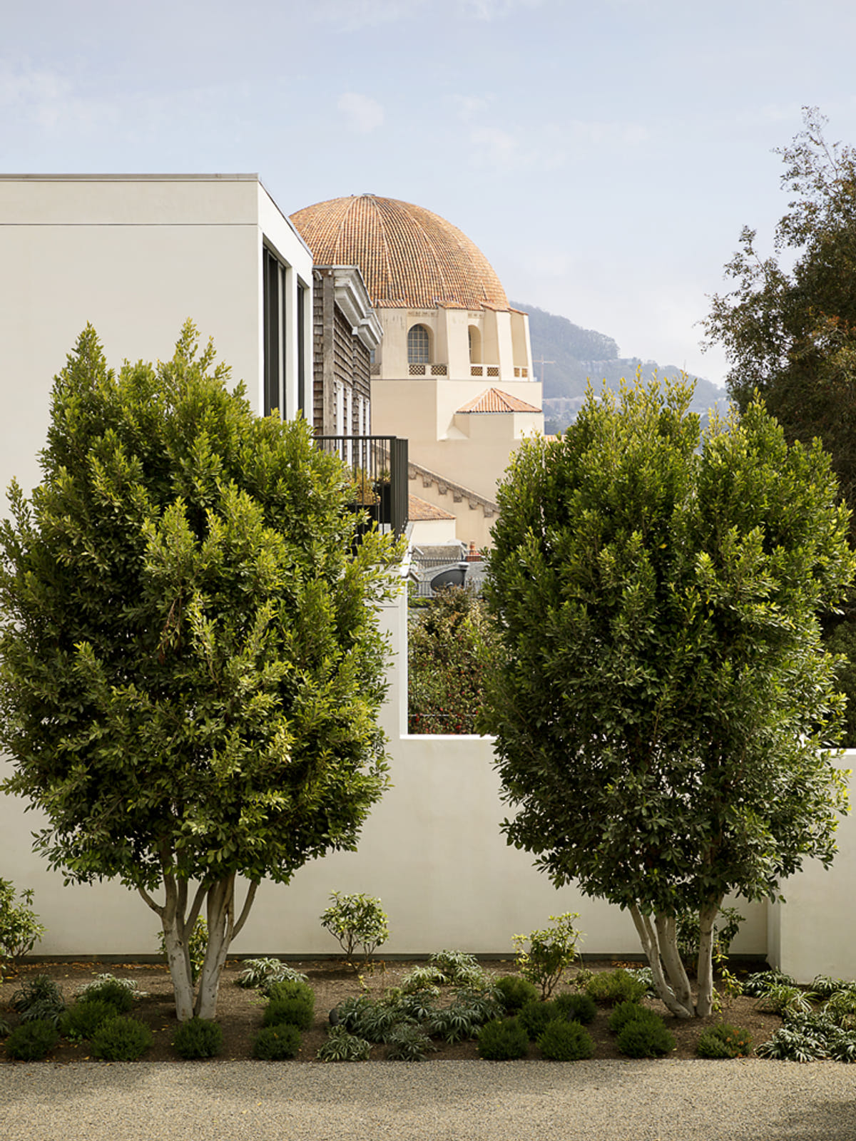 San Francisco Modern | Walker Warner | Archinect