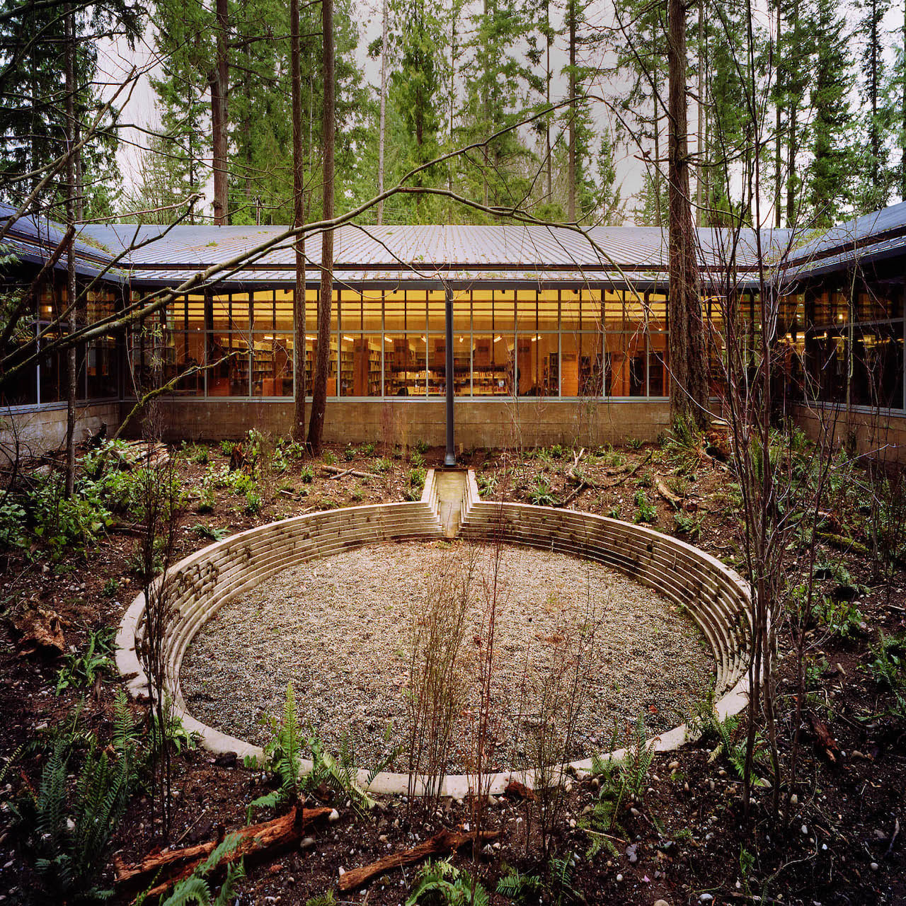 Maple Valley Library | Johnston Architects | Archinect