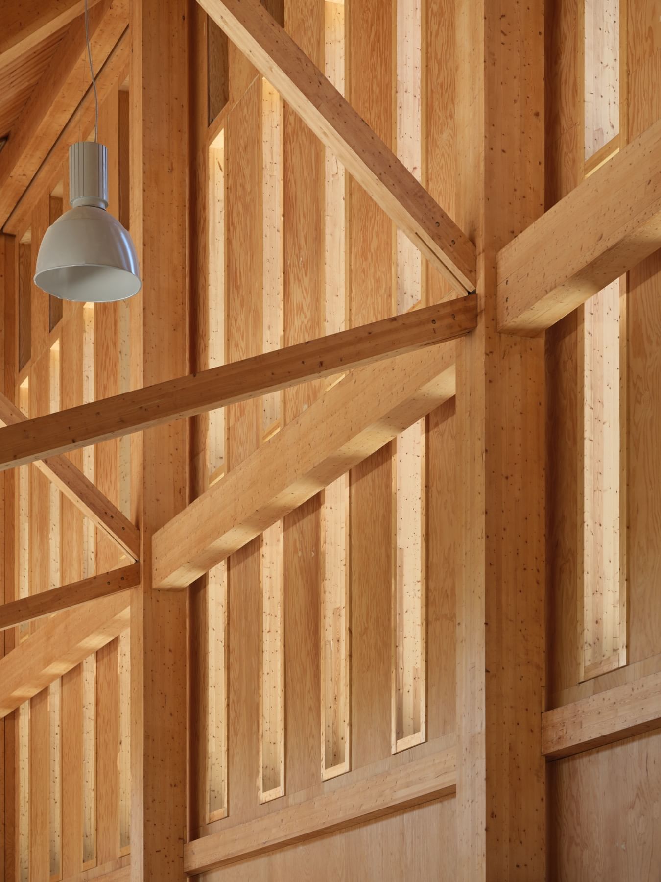 Montgomery Sisam completes mass timber research facility for University ...