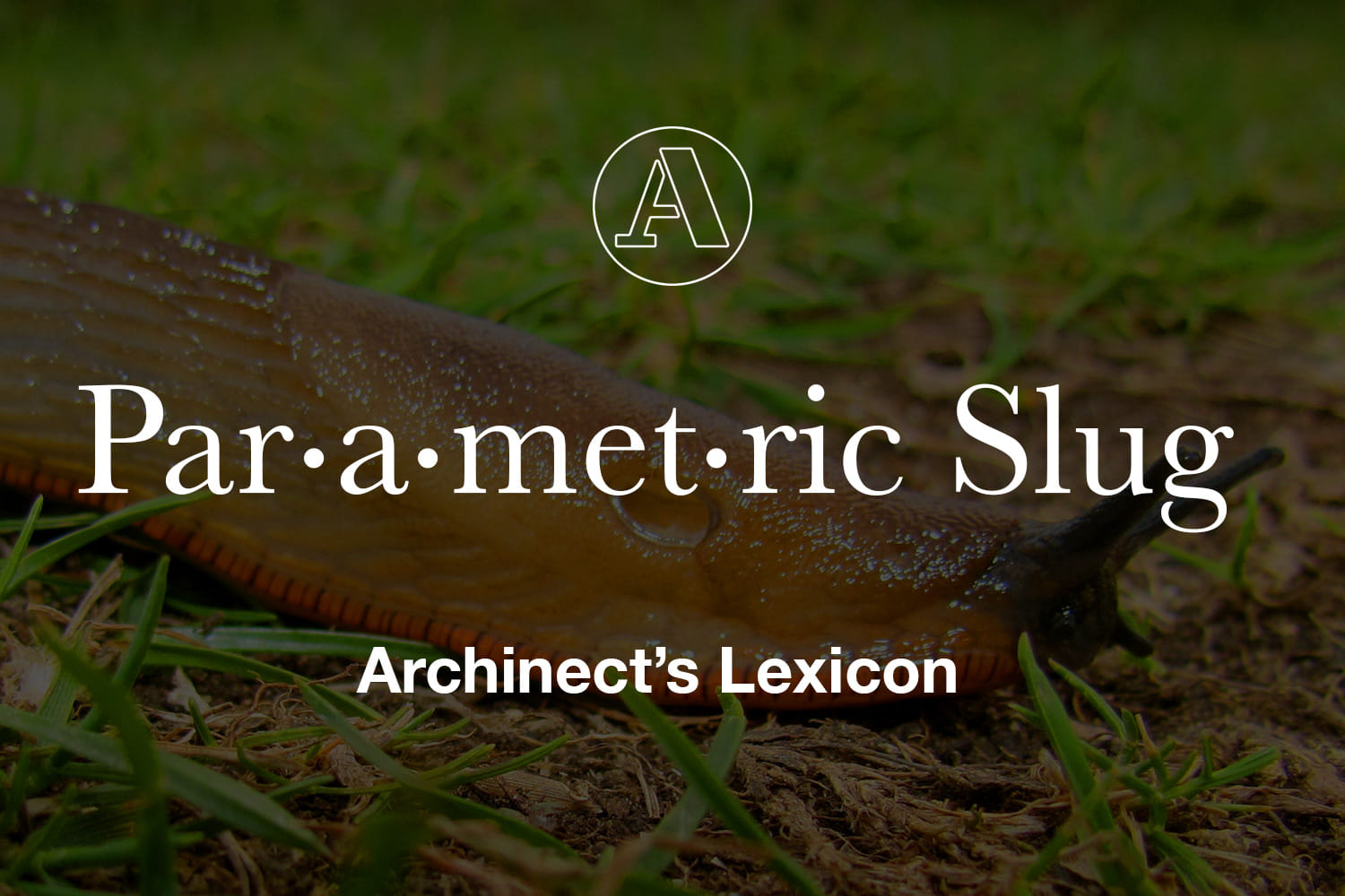 Archinect's Lexicon: "Parametric Slug" | News | Archinect