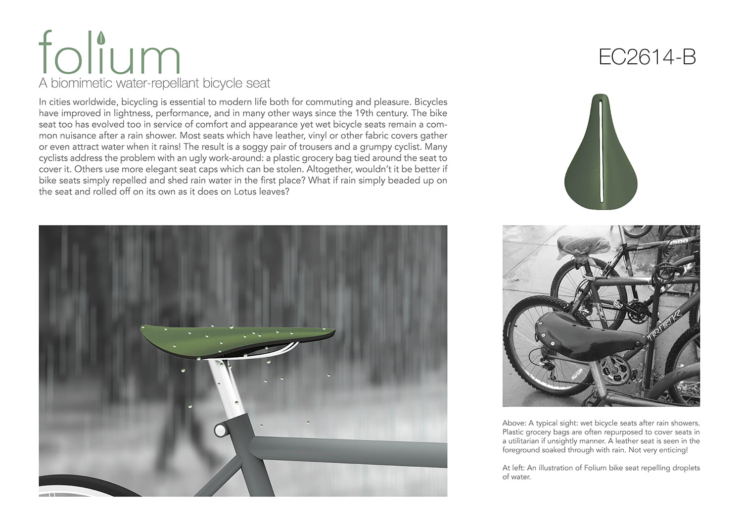 Announcing the winners of Eleven's “Biomimicry” ideas competition