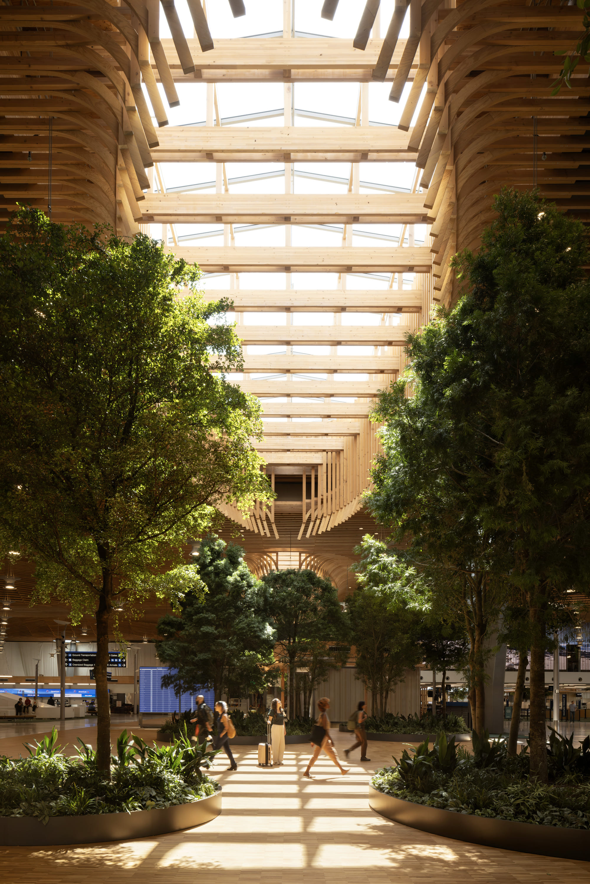 ZGF's groundbreaking mass timber airport terminal design debuts in ...