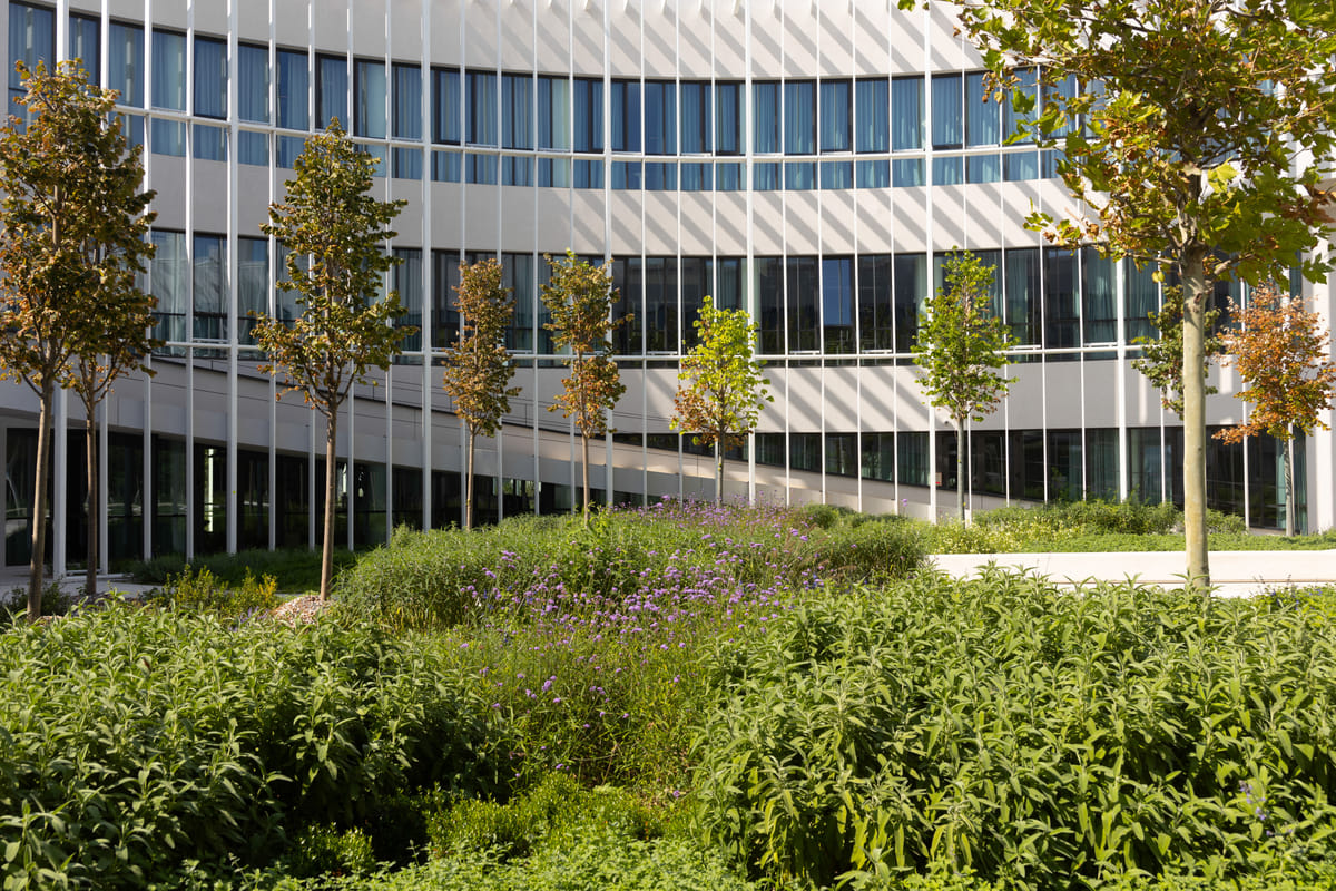 Kaizen Campus - An Award Winning Office Building | ASPA KST | Archinect