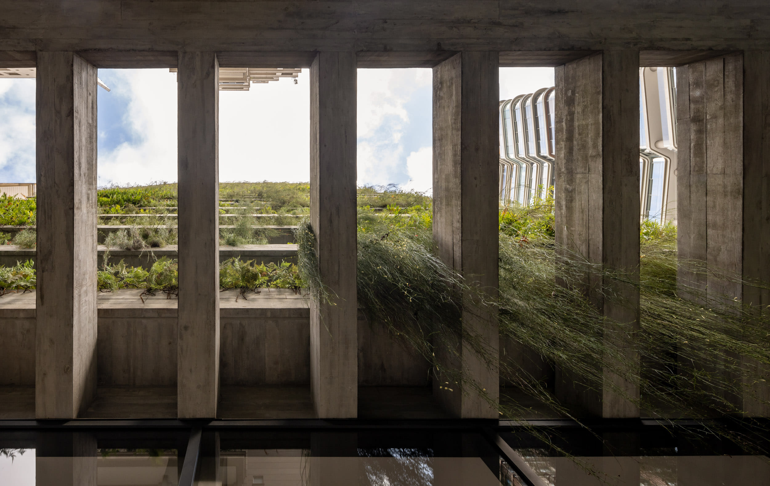 Leopoldo 1201 Building Landscaping | Rodrigo Oliveira Paisagismo ...