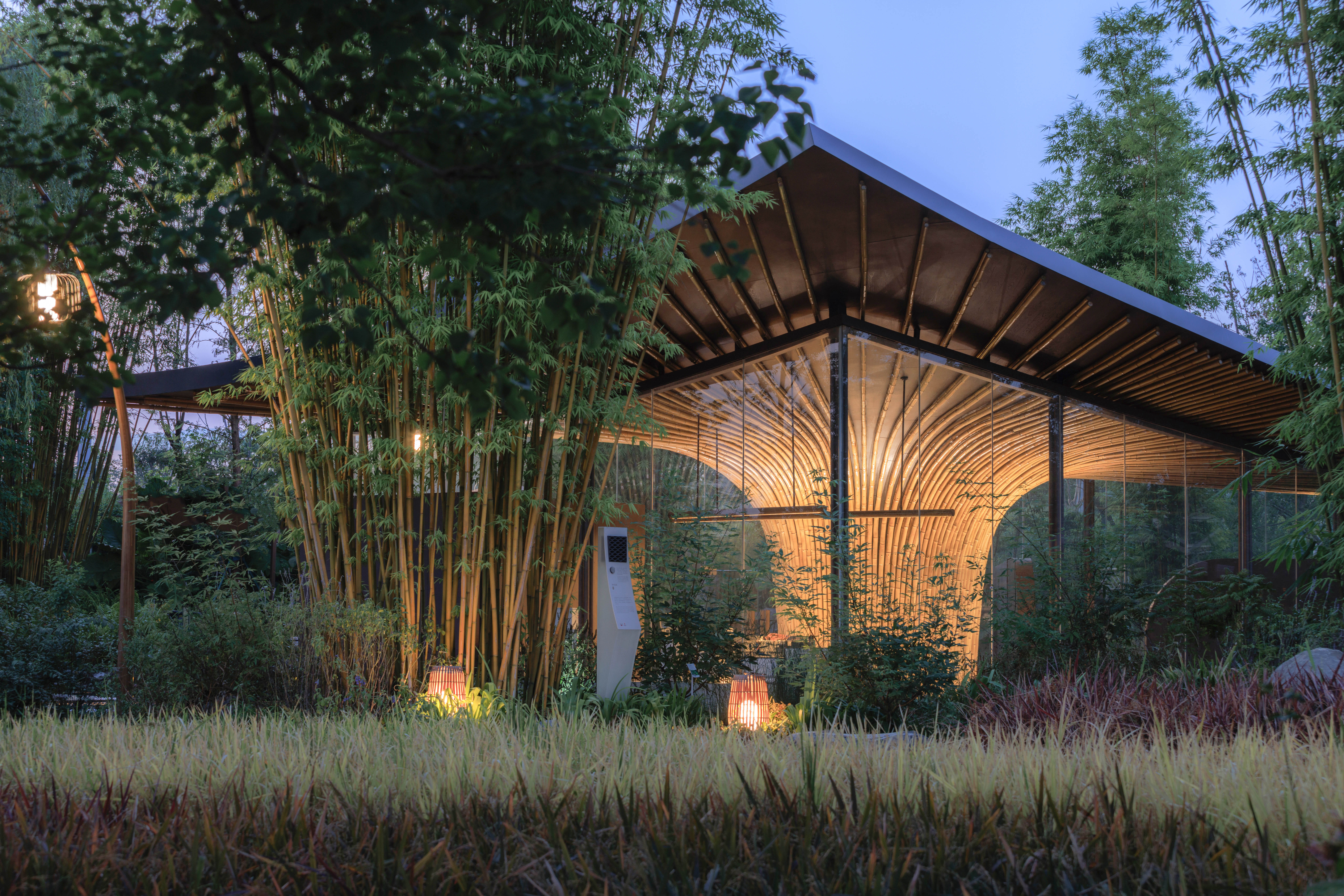 Enjoying the Cool Beneath the Large Leaves: The 2024 Chengdu ...