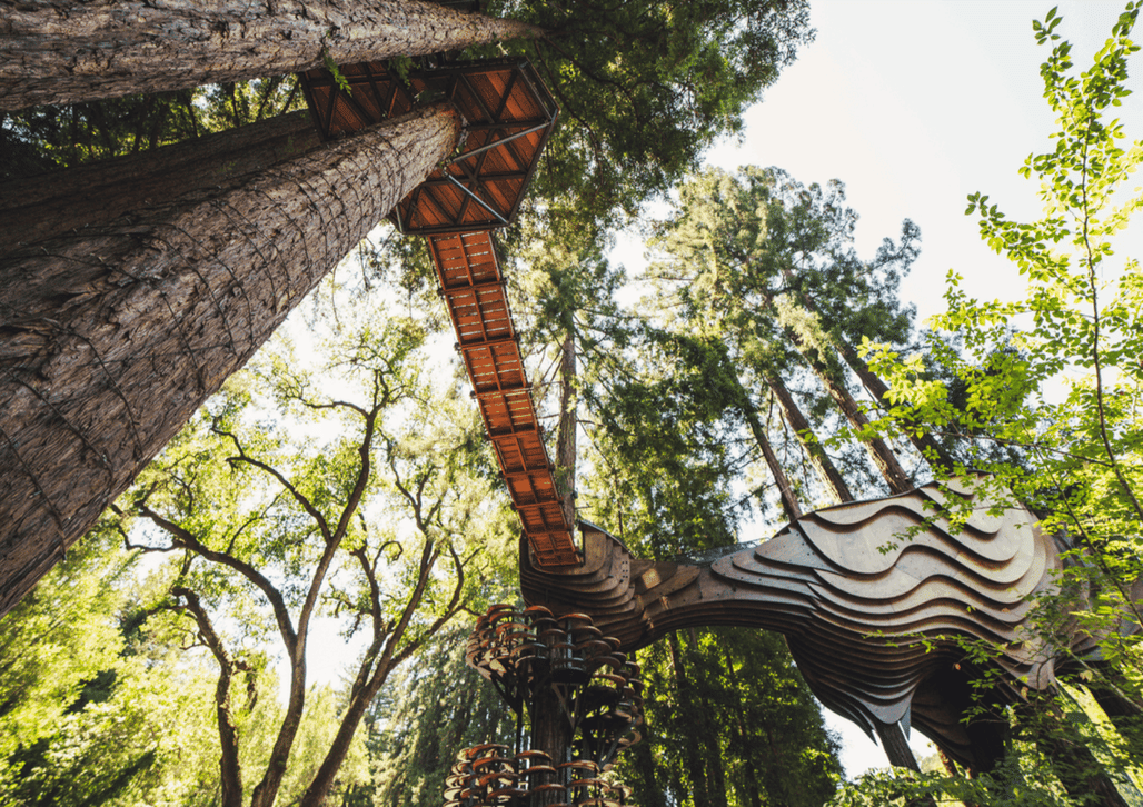 In California’s forests, a ‘whimsical’ treehouse rises inspired by ...